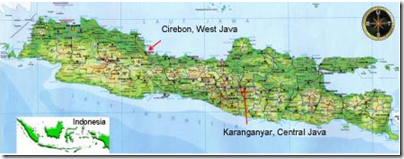 Avian Flu Diary: January 2010